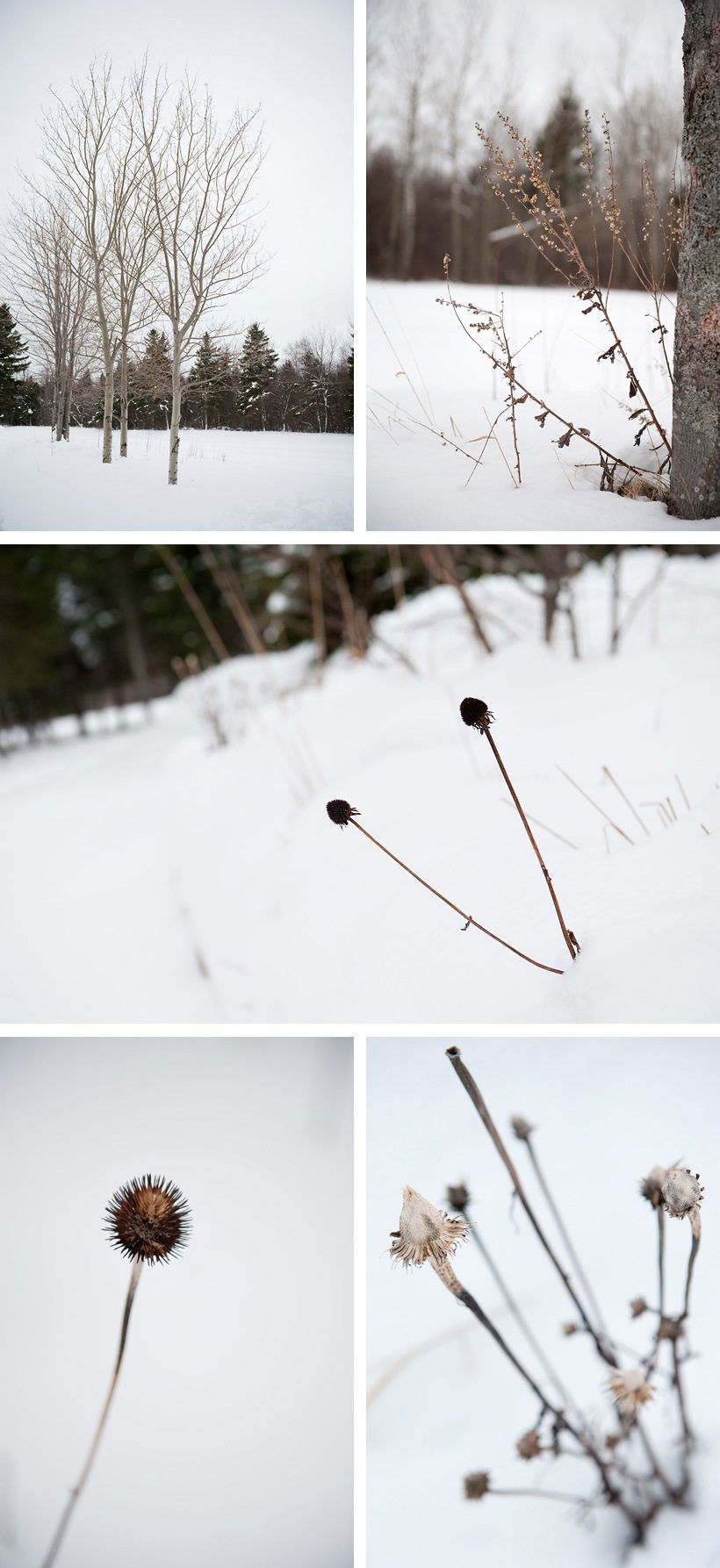 Winter Scenes » Philip Boudreau – Moncton Headshot, Portrait and ...